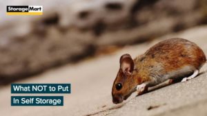 What Not to Put in a Self Storage Unit | StorageMart