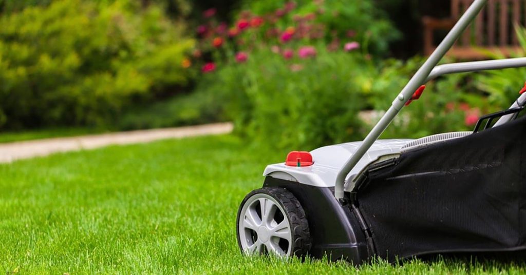How to Cut Grass Like a Pro